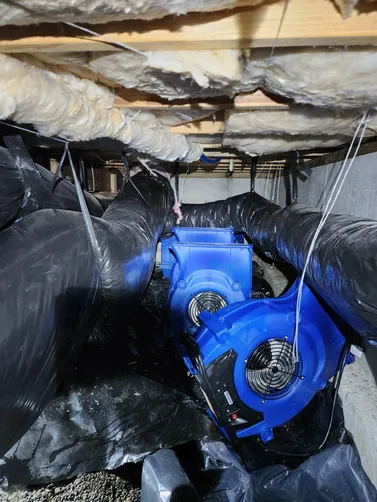 Water Damage Restoration Seattle | 24/7 Emergency Cleanup
