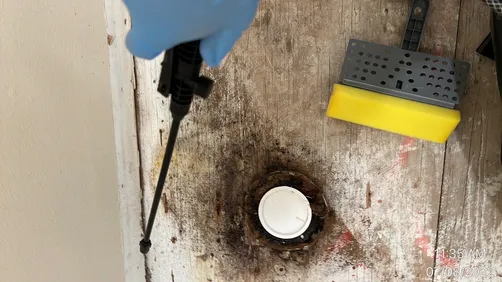 Water Damage Restoration Seattle | 24/7 Emergency Cleanup