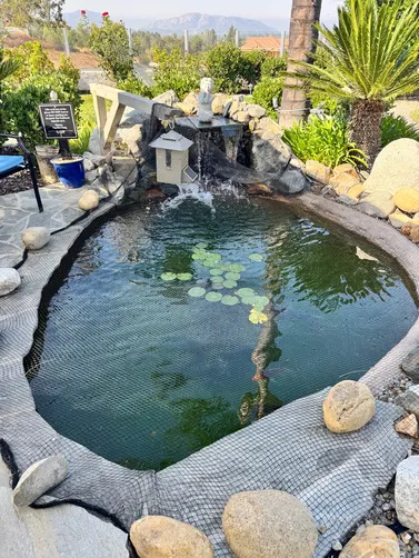 backyard turtle pond diy