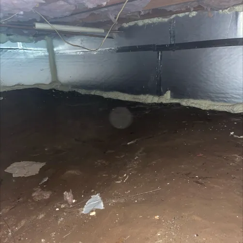 Recent Projects at Scaldino Basement Solution
