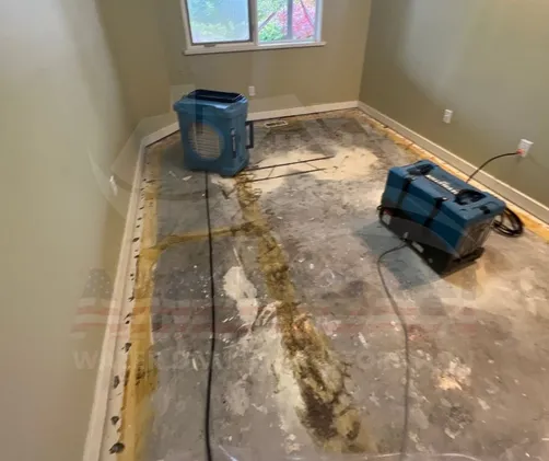 Water Damage Restoration Seattle | 24/7 Emergency Cleanup