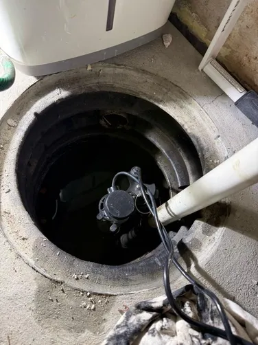 Recent Projects at Scaldino Basement Solution